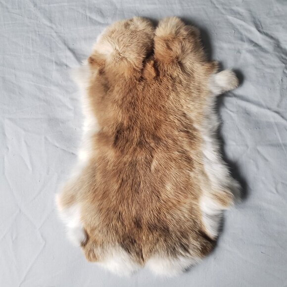 Other | Rabbit Pelt For Display Or Diy | Poshmark